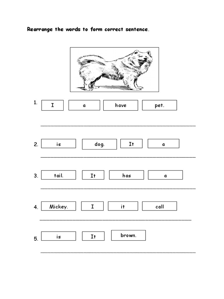 Rearrange The Words To Form Correct Sentence | PDF