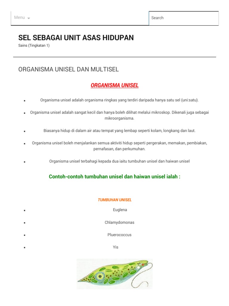 Organisma Unisel Dan Multisel - Sel Sebagai Unit Asas Hidupan PDF | PDF