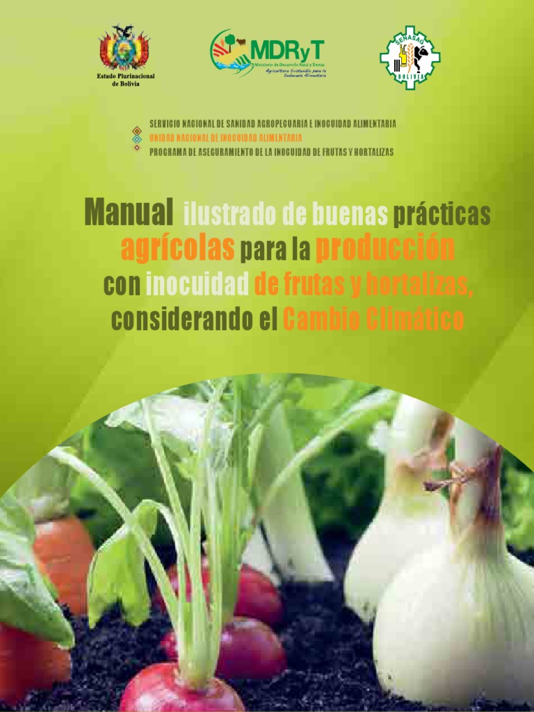 Inocuidad Frutas Hortalizas PDF | PDF | Pesticida | Agricultura