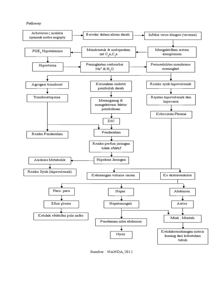 Pathway DHF Ayik | PDF