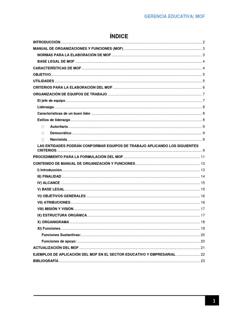 Manual de Organizaciones y Funciones (Mof) | PDF | Liderazgo | Presupuesto