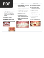 Técnica de Bass Modificada | PDF | Diente | Odontología