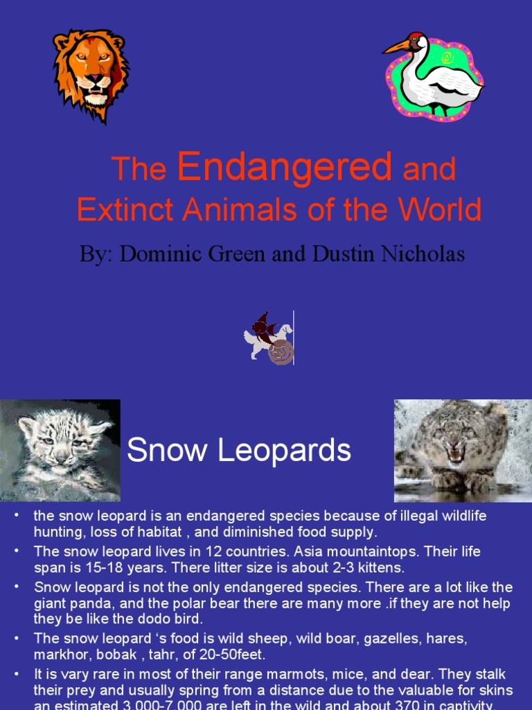 The Endangered and Extinct Animals of The World | PDF | Organisms | Leopard