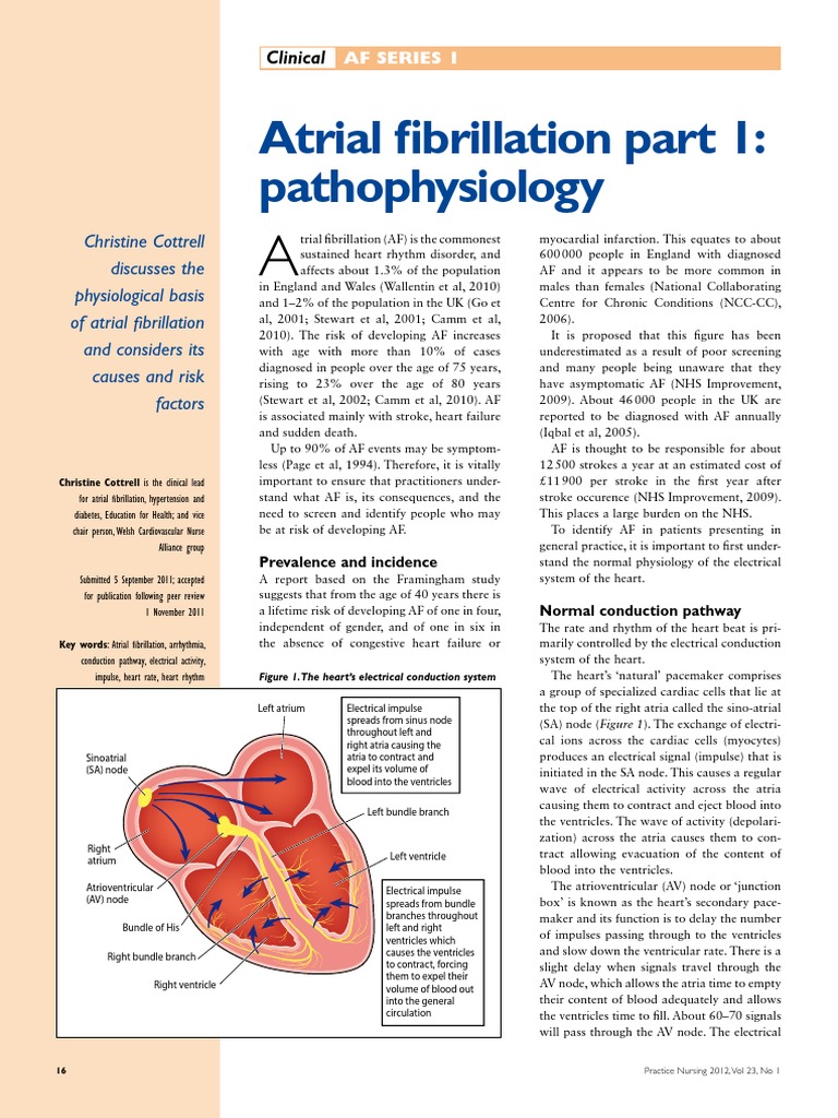 Atrial Fibrilliation Part 1 Pathophysiology C Cottrell PDF | PDF ...