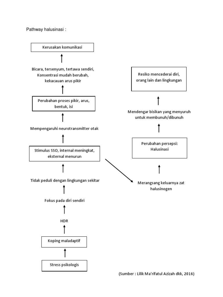 Pathway Halusinasi | PDF
