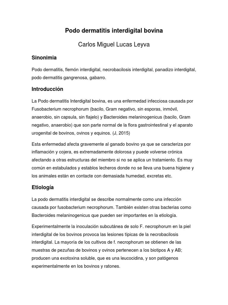 Pododermatitis Bovina Examen MVZ Nicaso | PDF | Especialidades Medicas ...
