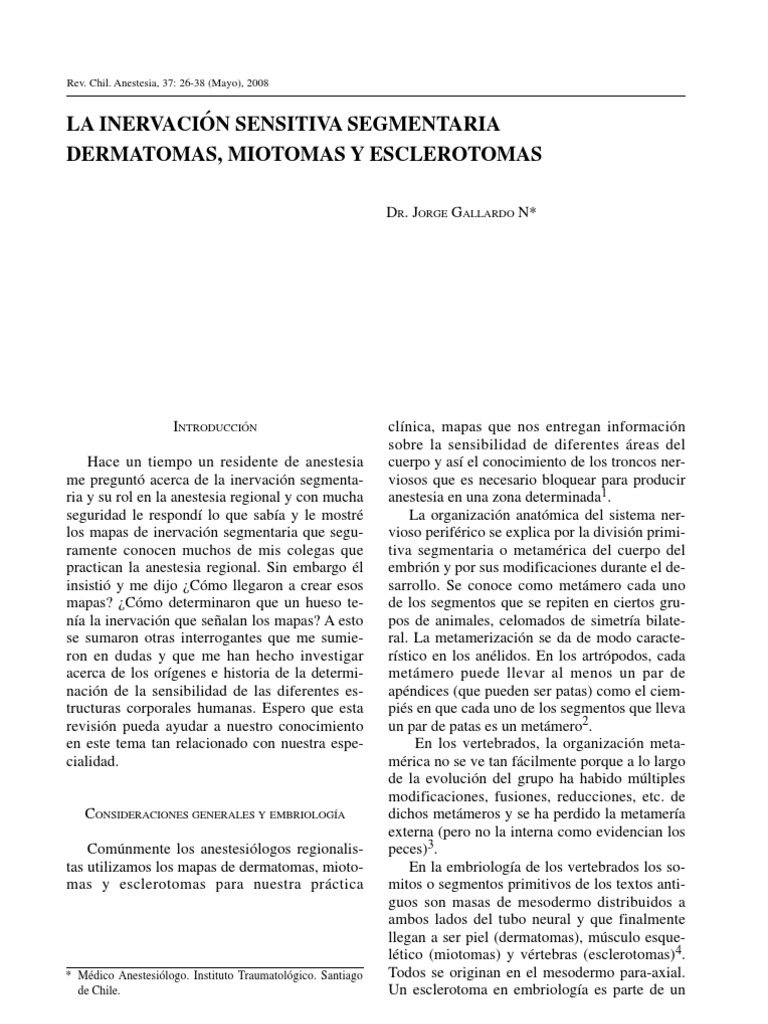 La Inervación Sensitiva Segmentaria Dermatomas, Miotomas y Esclerotomas ...