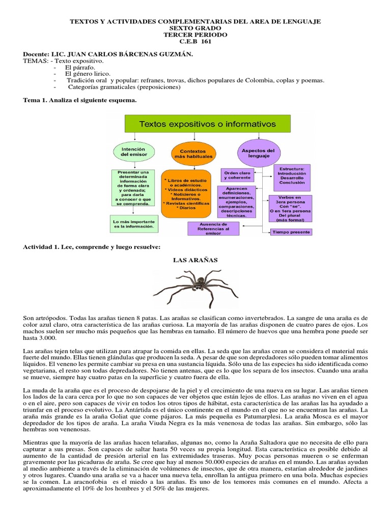 Textos y Actividades p3 (1) | Araña | Miel