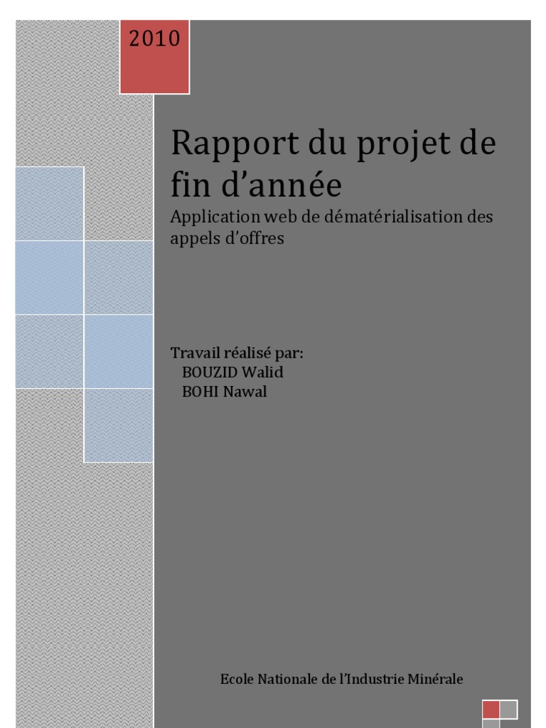 Rapport PFA | PDF | NetBeans | Applications et logiciels