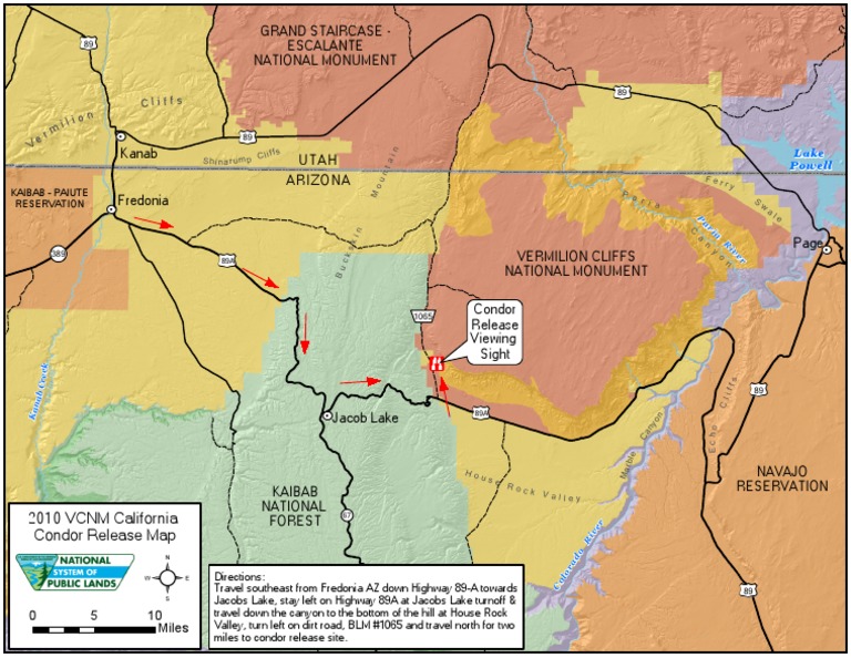 California Condor Release Map | Business