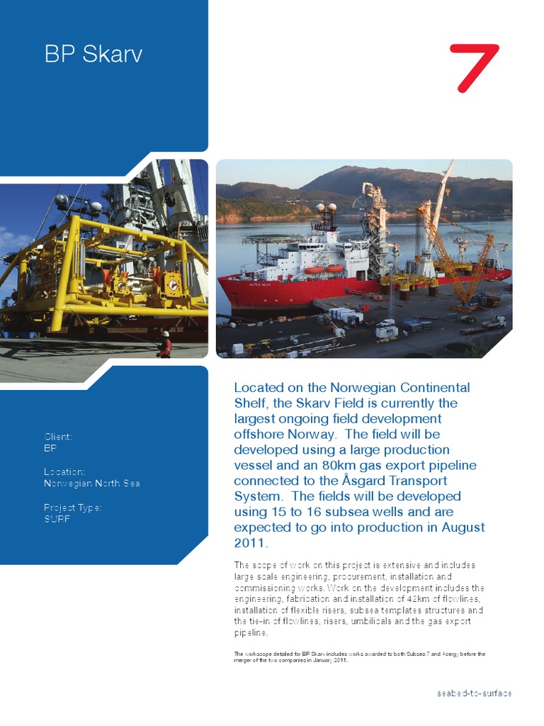 BP Skarv | PDF | Subsea (Technology) | Nature