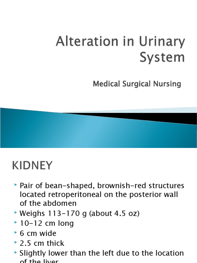 Alteration in Urinary System - ppt22222 | PDF | Kidney | Urinary Tract ...