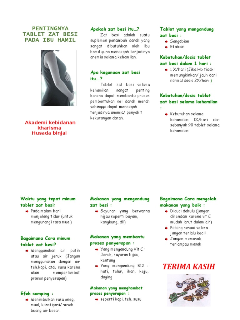 Leaflet Tablet Fe Zat Besi | PDF