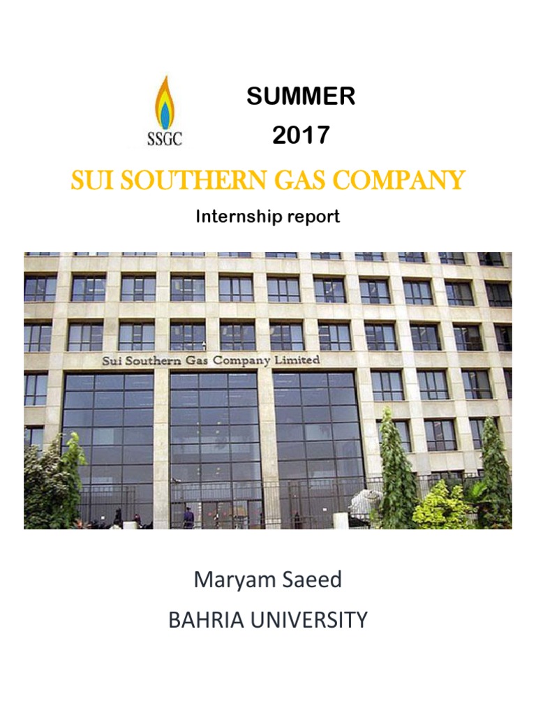 SSGC Internship Report on HRMS, Payroll and IT Infrastructure | PDF ...
