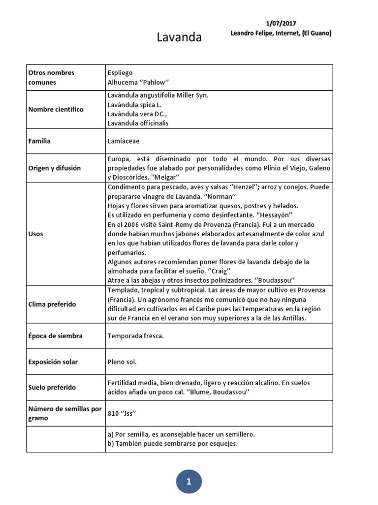 Lavanda | PDF | Lavandula | Siembra