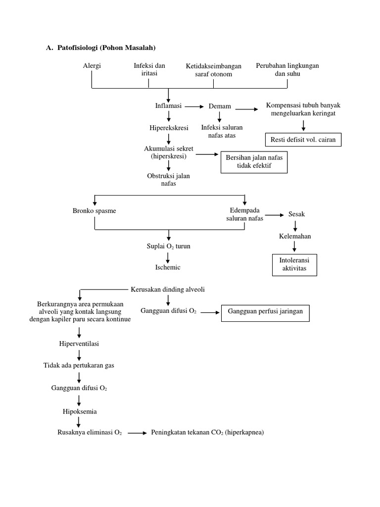 Pathway Asma Bronkial | PDF