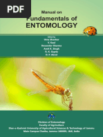 Insect Morphology | PDF | Insects | Animal Anatomy