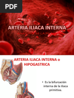 Arteria Iliaca Comun Externa Interna y Sus Ramas Correspondientes | PDF ...