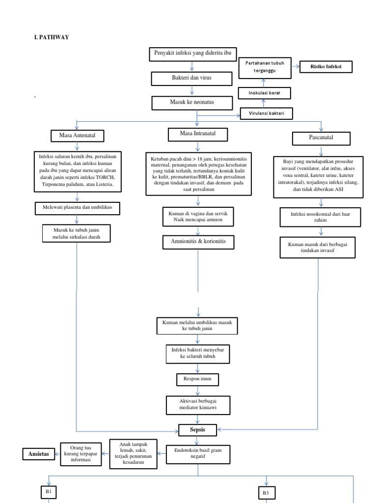 Pathway Sepsis | PDF