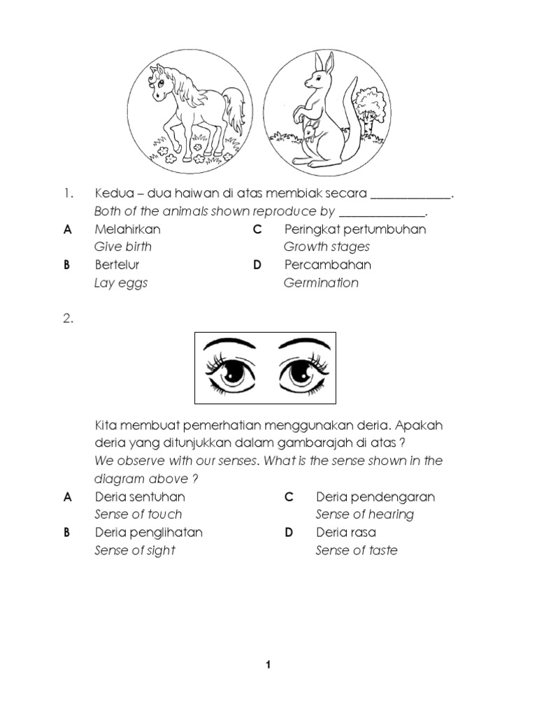 Year 2 Science Exam Paper with Answers | PDF | Career & Growth