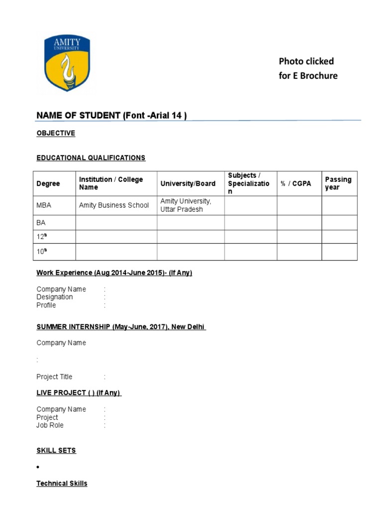 Amity CV Format | PDF