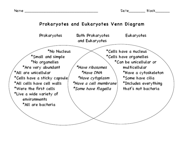Prokaryote Vs Eukaryote VENN DIAGRAm | PDF | Prokaryote | Organelle