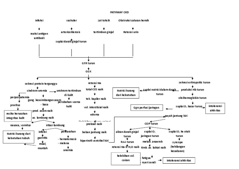 Pathway CKD | PDF