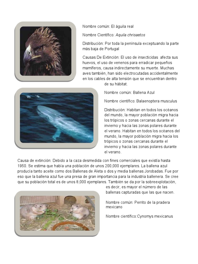 Nombre Común | PDF | Ciencia y matemáticas
