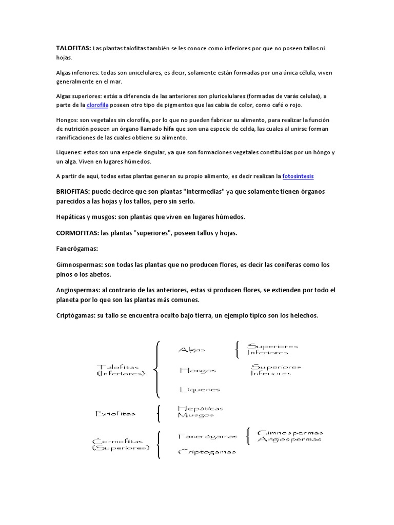 TALOFITAS | PDF | Ciencia y matemáticas