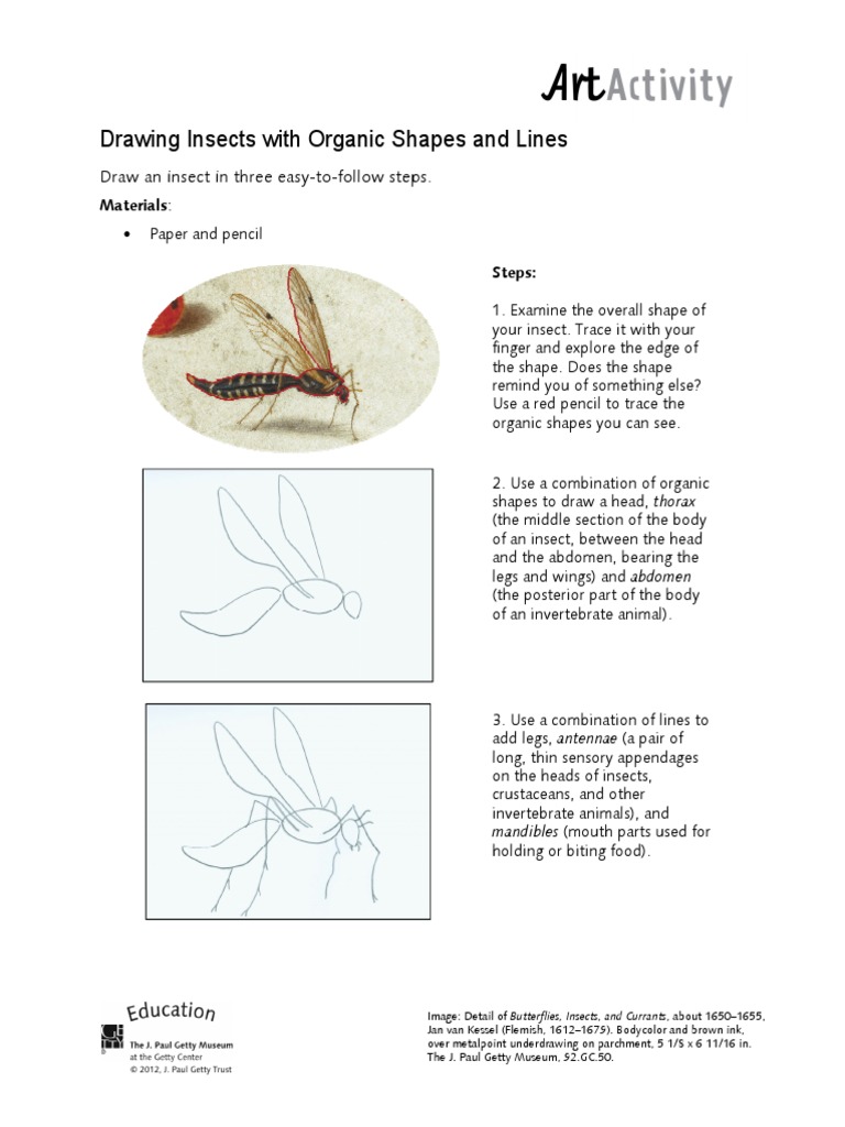Drawing Insects With Organic Shapes and Lines: Draw An Insect in Three ...
