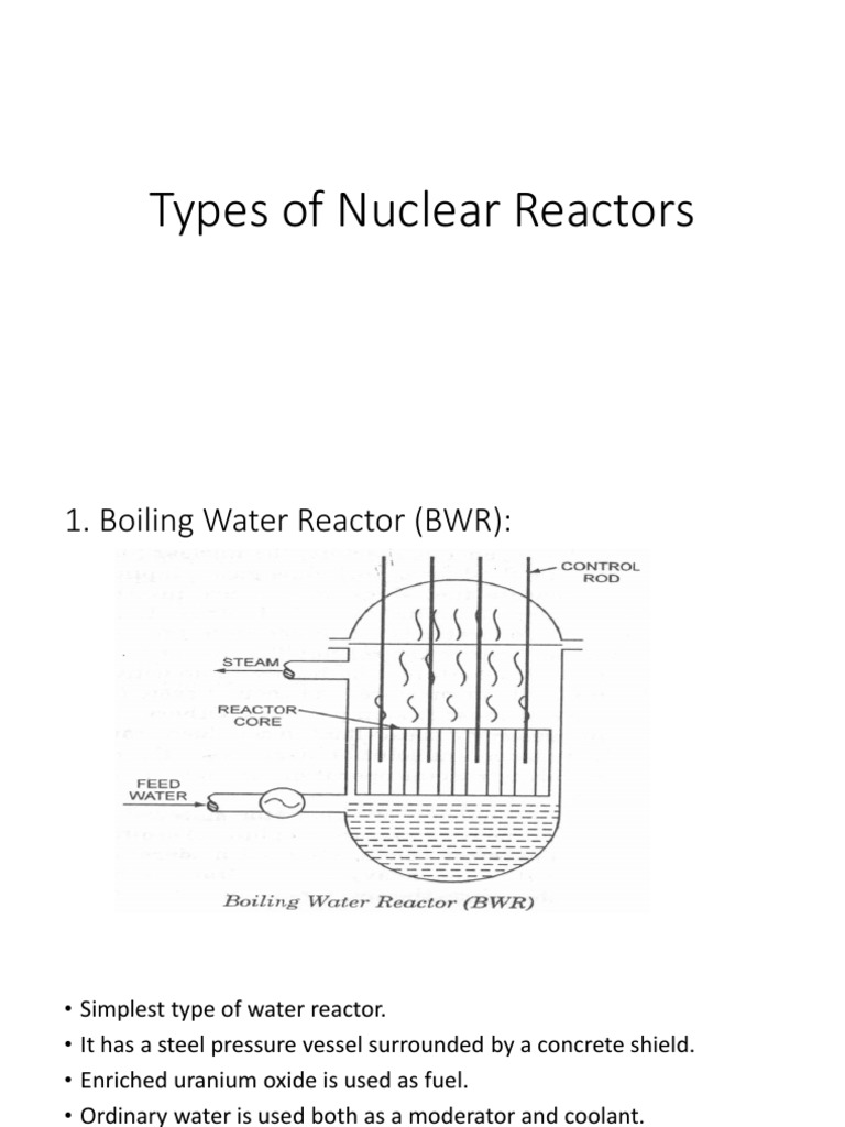 Nuclear Reactors Types | PDF | Nuclear Reactor | Pressurized Water Reactor