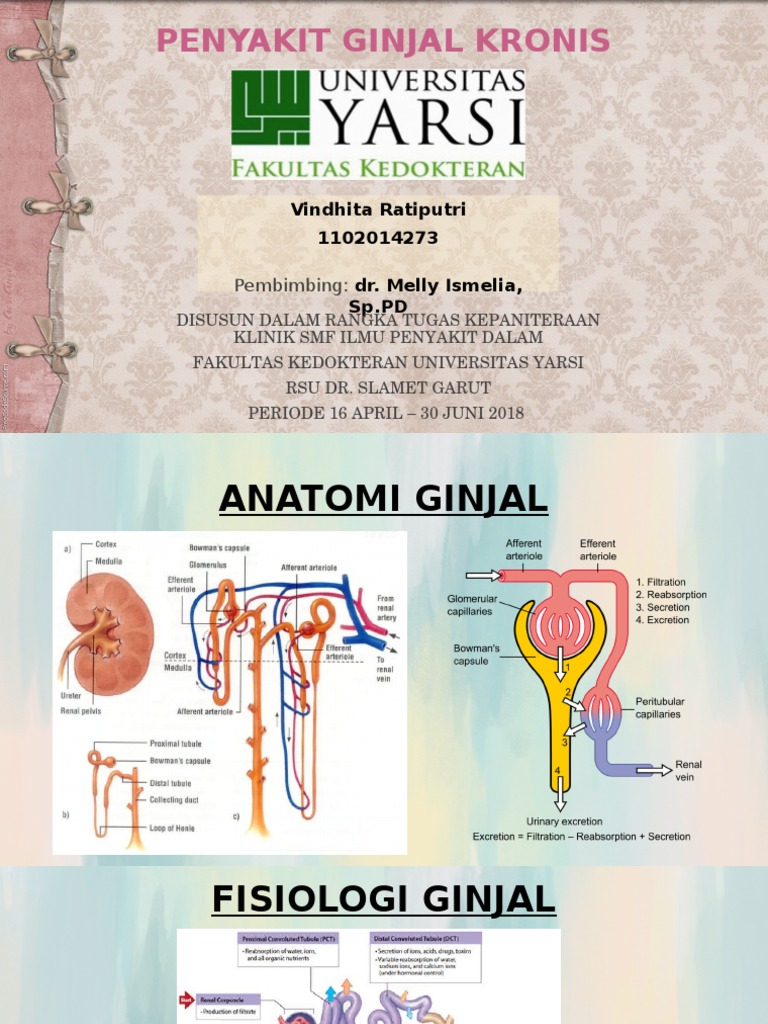 REFERAT IPD - Penyakit Ginjal Kronis | PDF | Pengembangan Diri
