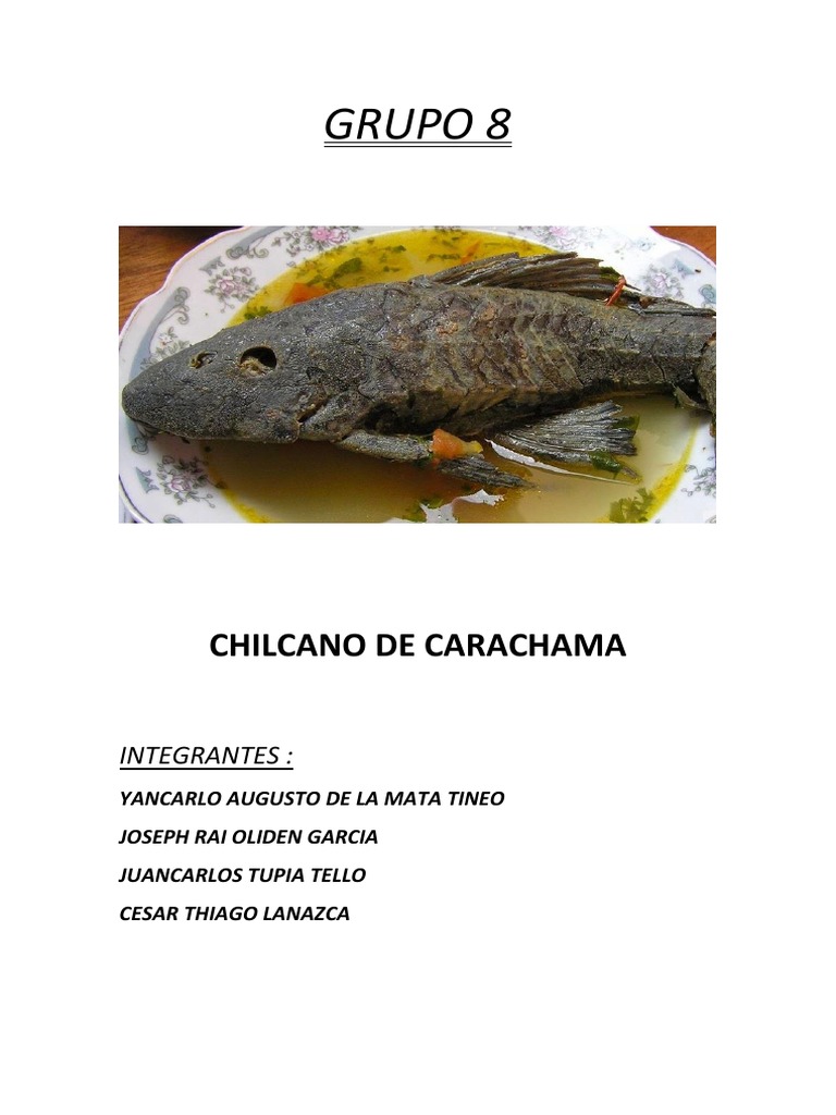Chilcano de Carachama | PDF