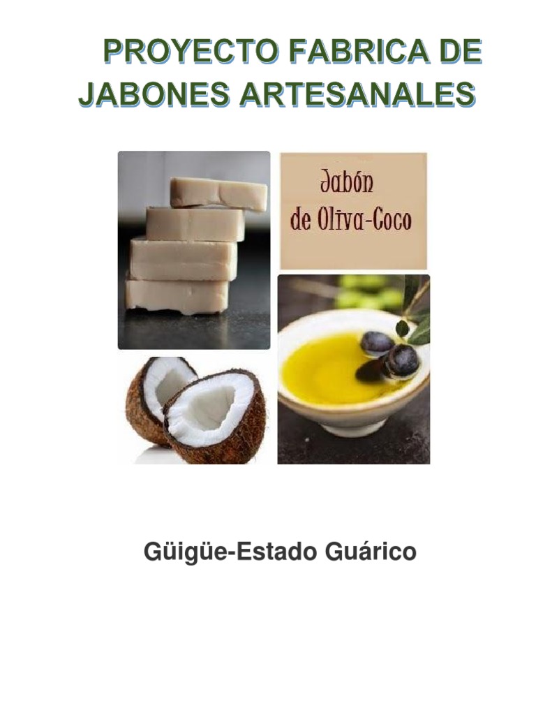 Proyecto Fabrica de Jabon Artesanal Mayor Kelly Aponte | PDF | Jabón ...