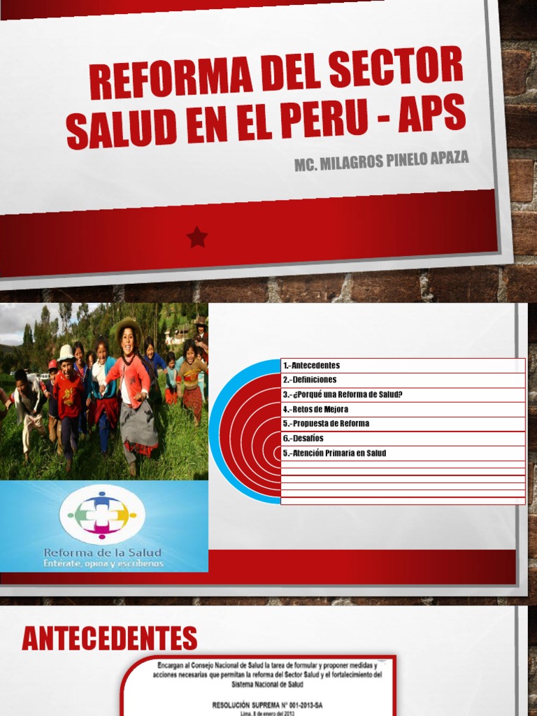 Reforma del Sector Salud en Perú | PDF | Sistema de salud | Cuidado de ...