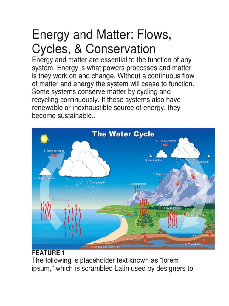 Energy and Matter | PDF | Food Web | Ecosystem