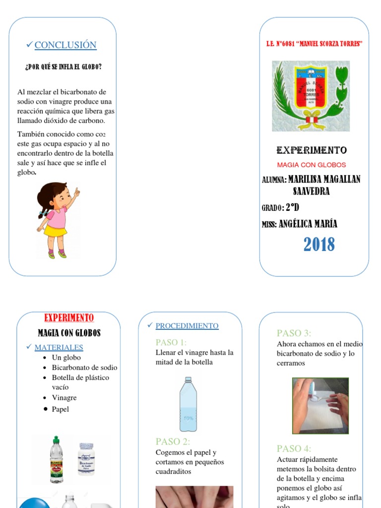 Triptico Experimento | PDF