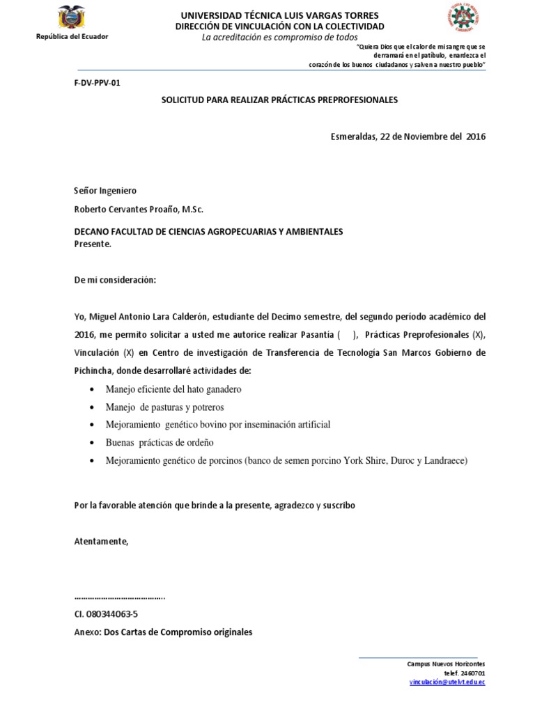 FORMATOS PARA PPPV Practicas y Vinculacion | PDF | Toma de decisiones ...