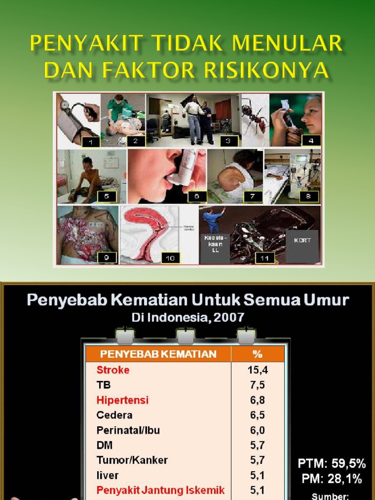 Pengantar Faktor Risiko PTM | PDF