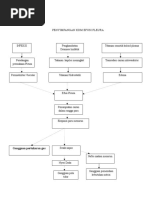 Risiko Perfusi Renal Tidak Efektif | PDF