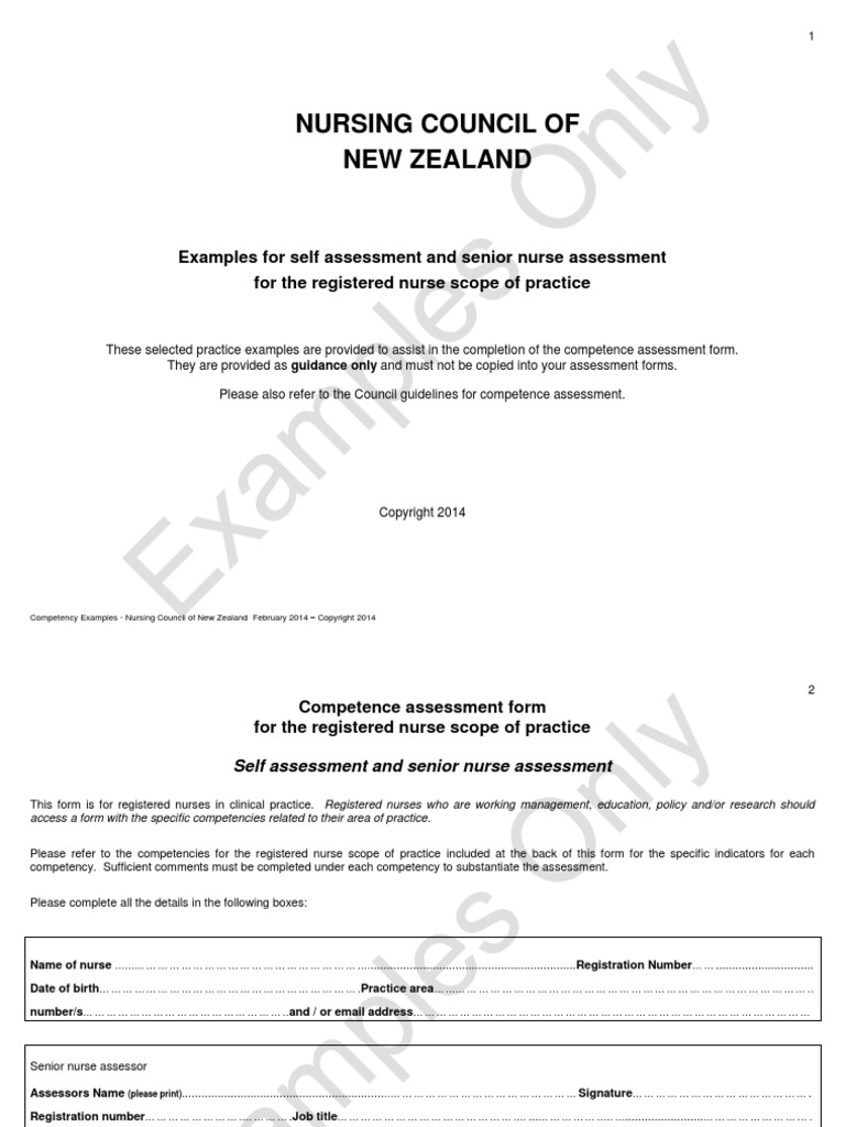Examples - Registered Nurse Combined Self and Senior Nurse Assessment ...
