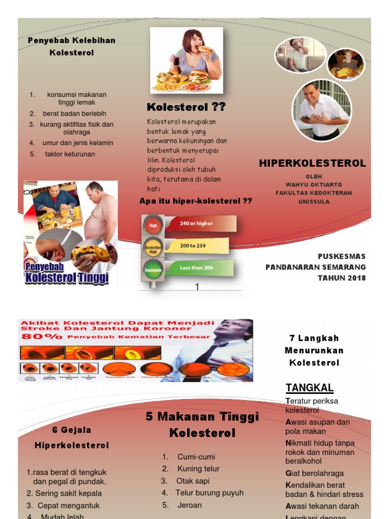 Leaflet Kolesterol | PDF