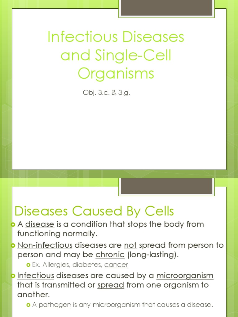 Understanding the Spread of Infectious Diseases: A Guide to Pathogens ...