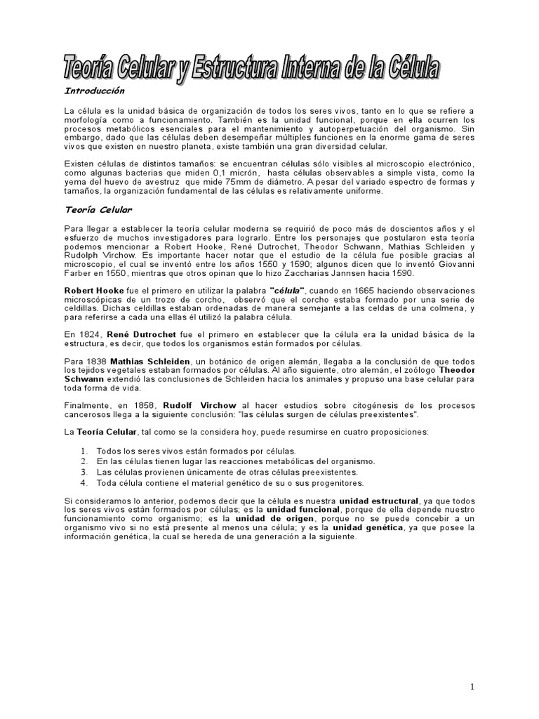 Guia Teoría Celular y Organelos | PDF | Citoplasma | Biología Celular)