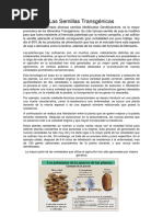 Semillas Transgénicas | PDF | Organismo genéticamente modificado | Plásmido