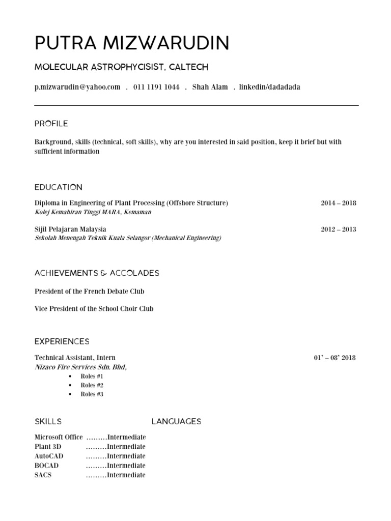 Curriculum Vitae Putra Mizwarudin | PDF