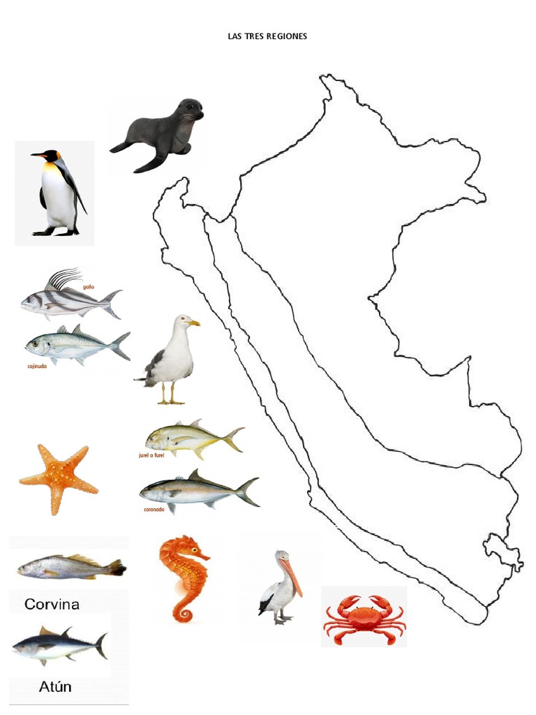 Las Tres Regiones Del Peru | PDF