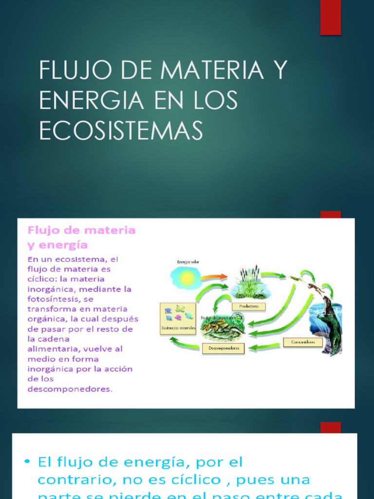Flujo de Materia y Energia en Los Ecosistemas | PDF