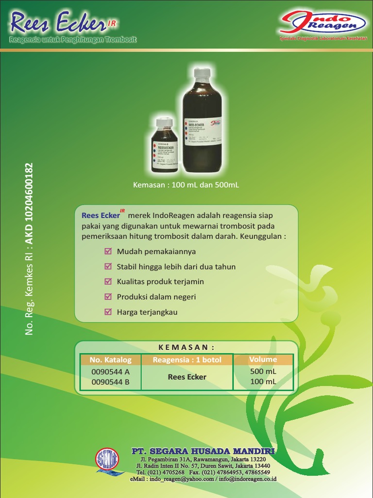 Brosur Rees Ecker PDF | PDF