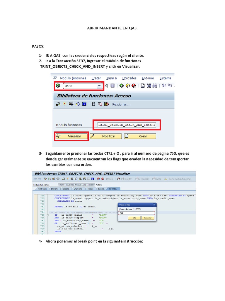 Editar Ambiente de Calidad SAP | PDF